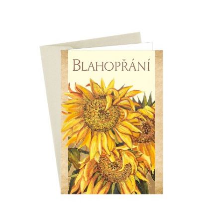 ARGUS Přání k narozeninám 75-671c | REMA UH s.r.o.